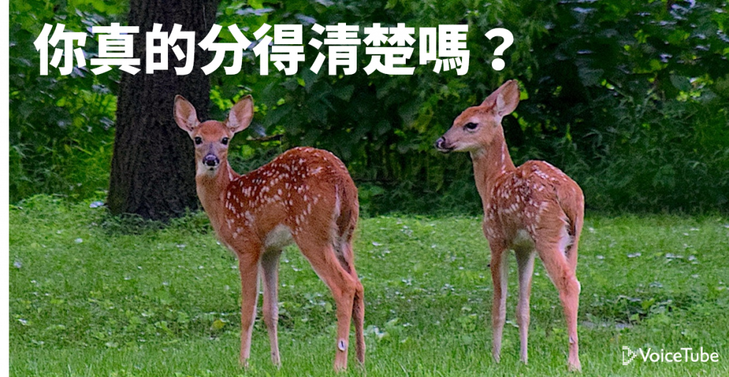 你真的分得清楚嗎？on the contrary, in contrast, on the other hand 用法大解析！