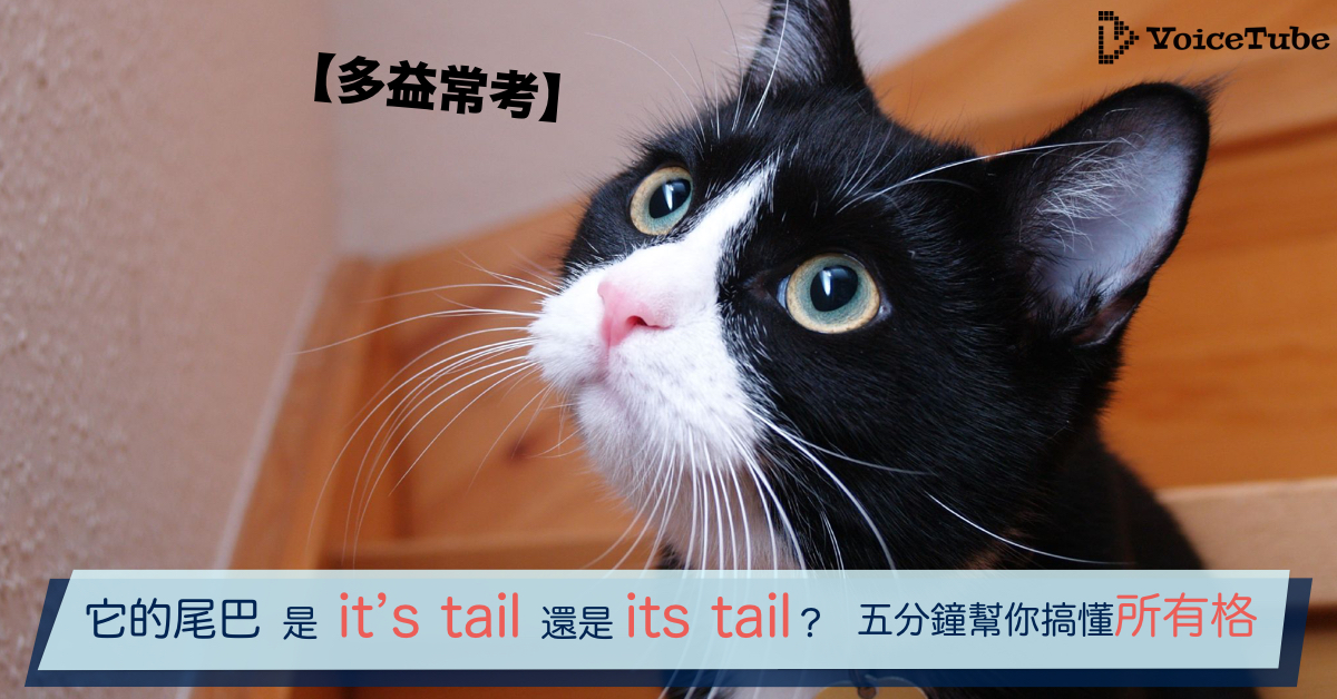 「它的尾巴」是 it’s tail 還是 its tail? 五分鐘幫你搞懂所有格！ 「它的尾巴」是 it’s tail 還是 its ...